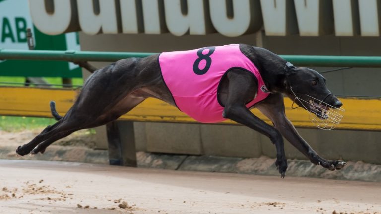 Captain Dynamite on comeback trail