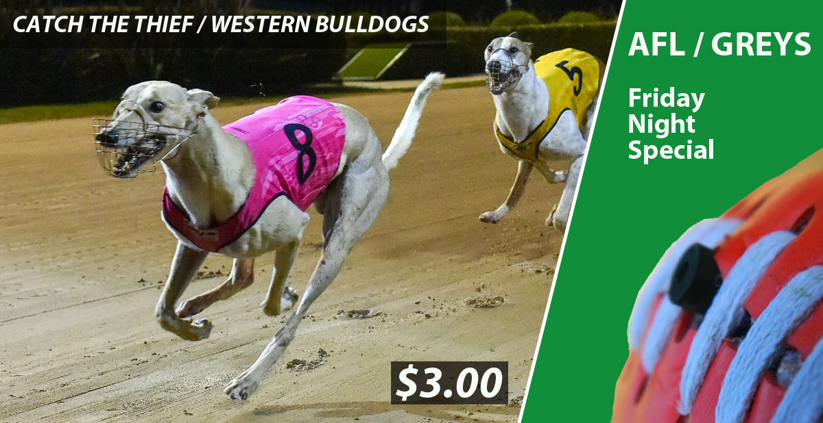 Thief & Dogs ‘show stealers’?