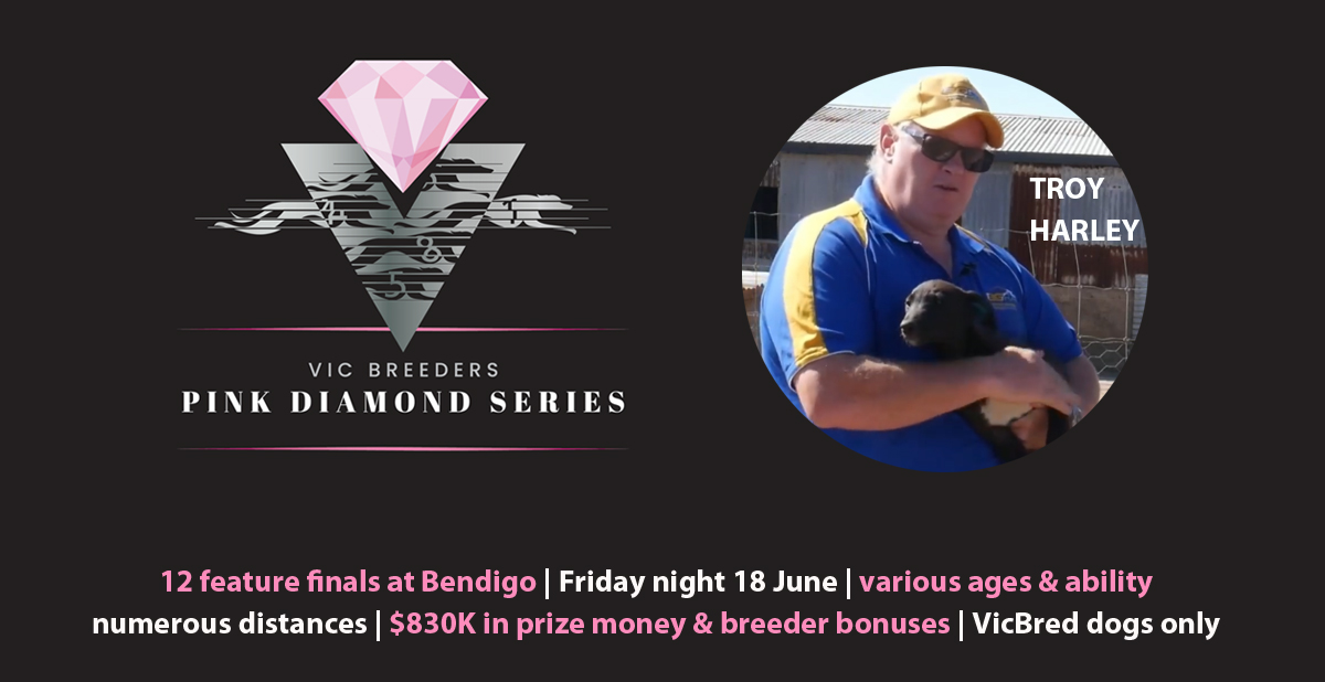 Q&A: All you need to know about the Pink Diamond