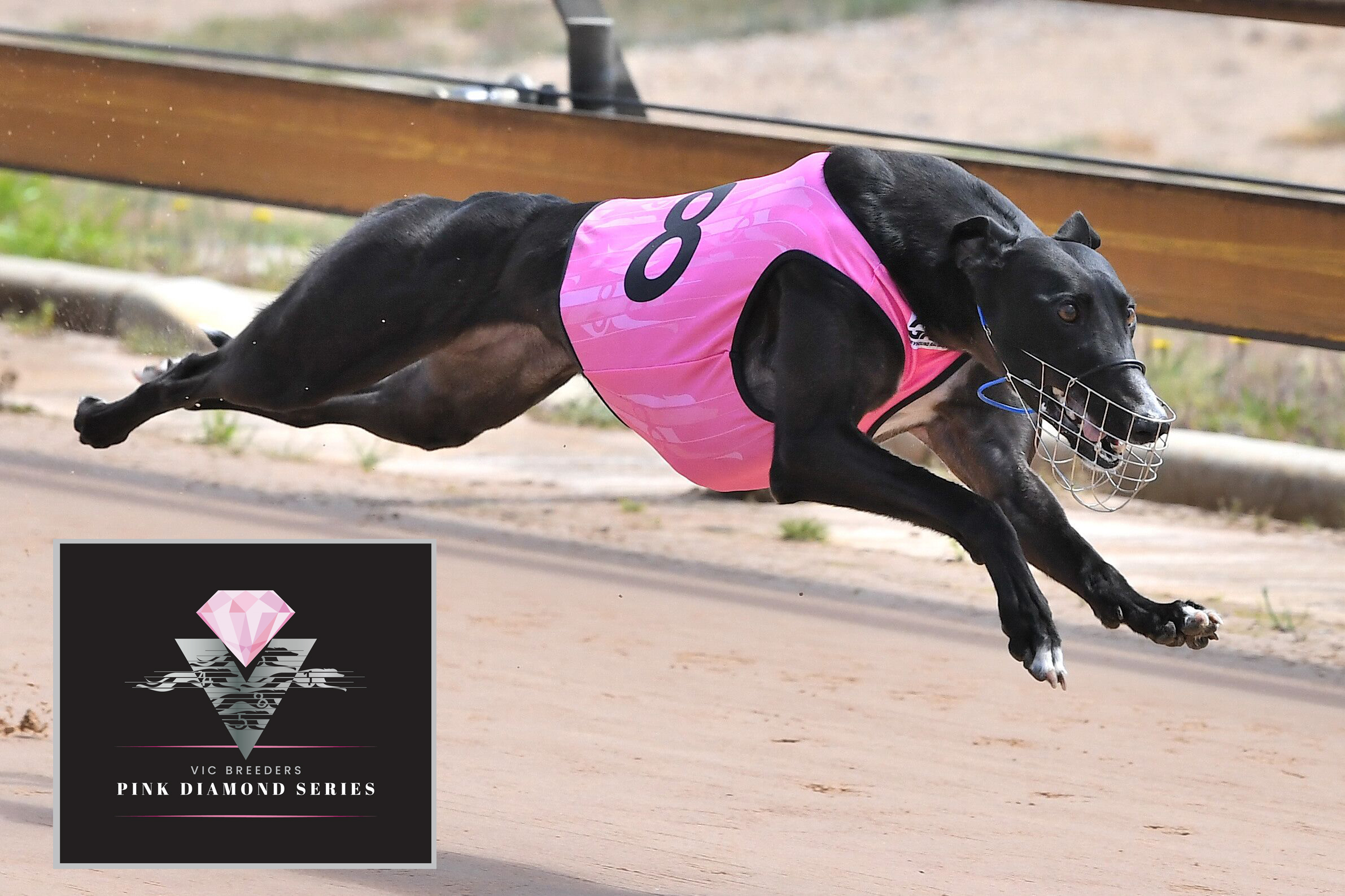 Pink Diamond 'Pink Rug' promotion starts tomorrow