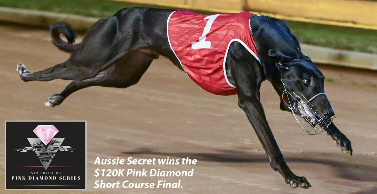 It’s no Secret, Aussie is a ‘flawless’ Diamond!