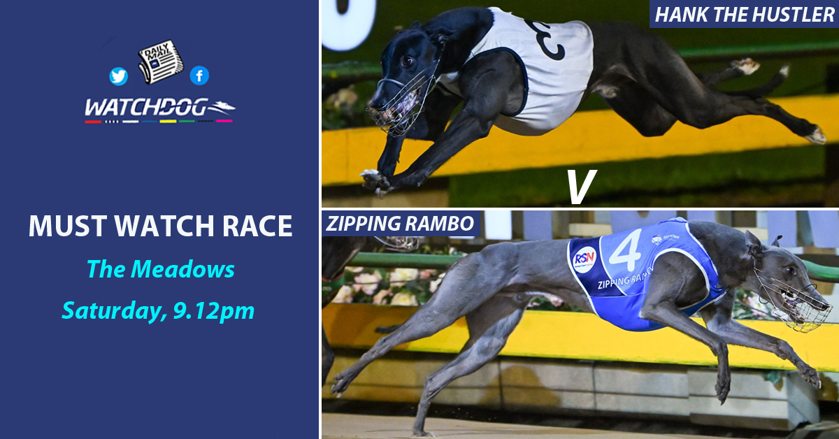 The Watchdog's Daily Mail