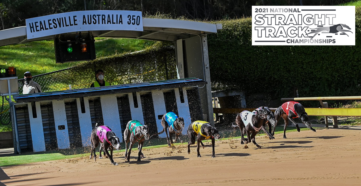 Racing update: National Straight Track Championship
