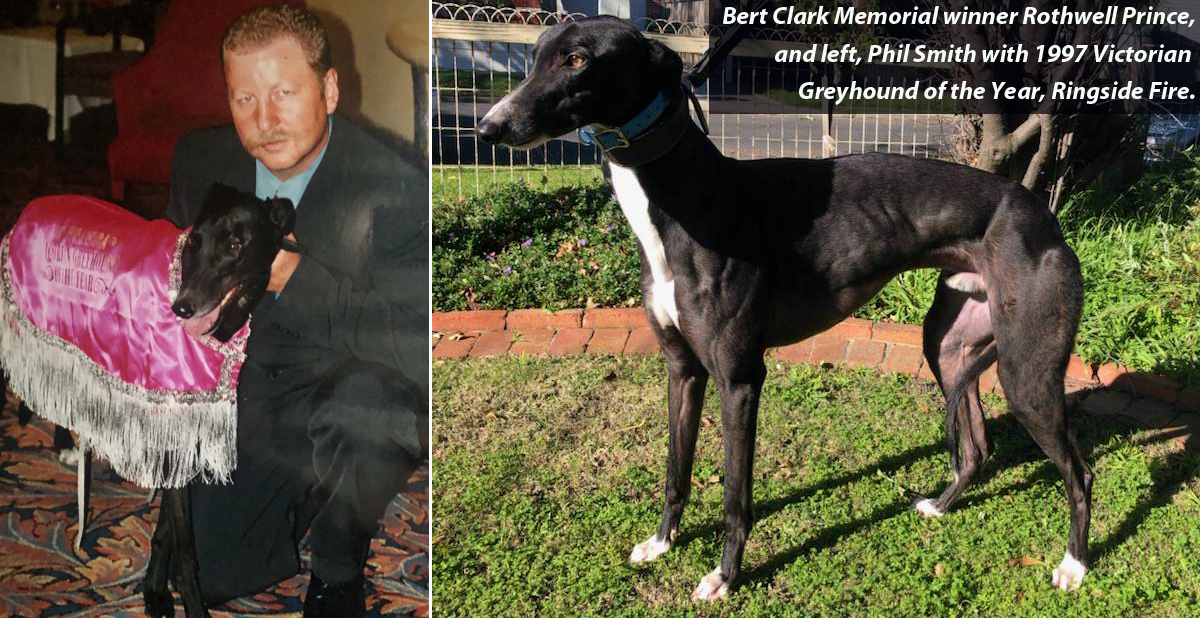 Coursing fit for a Prince