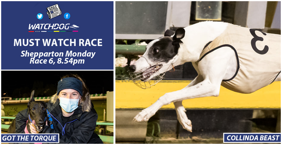 The Watchdog's Daily Mail