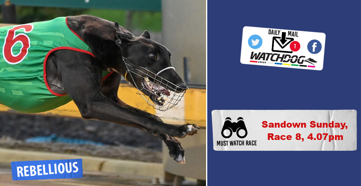 The Watchdog's Daily Mail