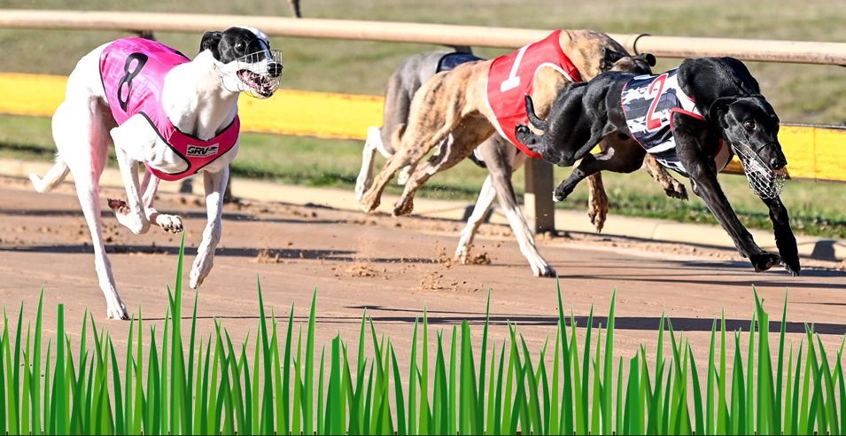 $100,000 Grassroots Regional Championships begin Sunday