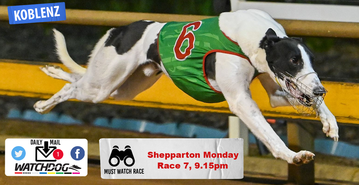 The Watchdog's Daily Mail