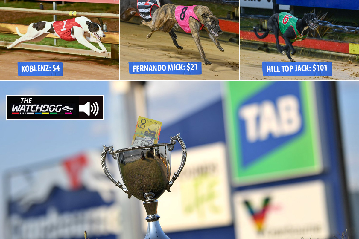 How to spend $50 on TAB's 'All In' Cranbourne Cup market