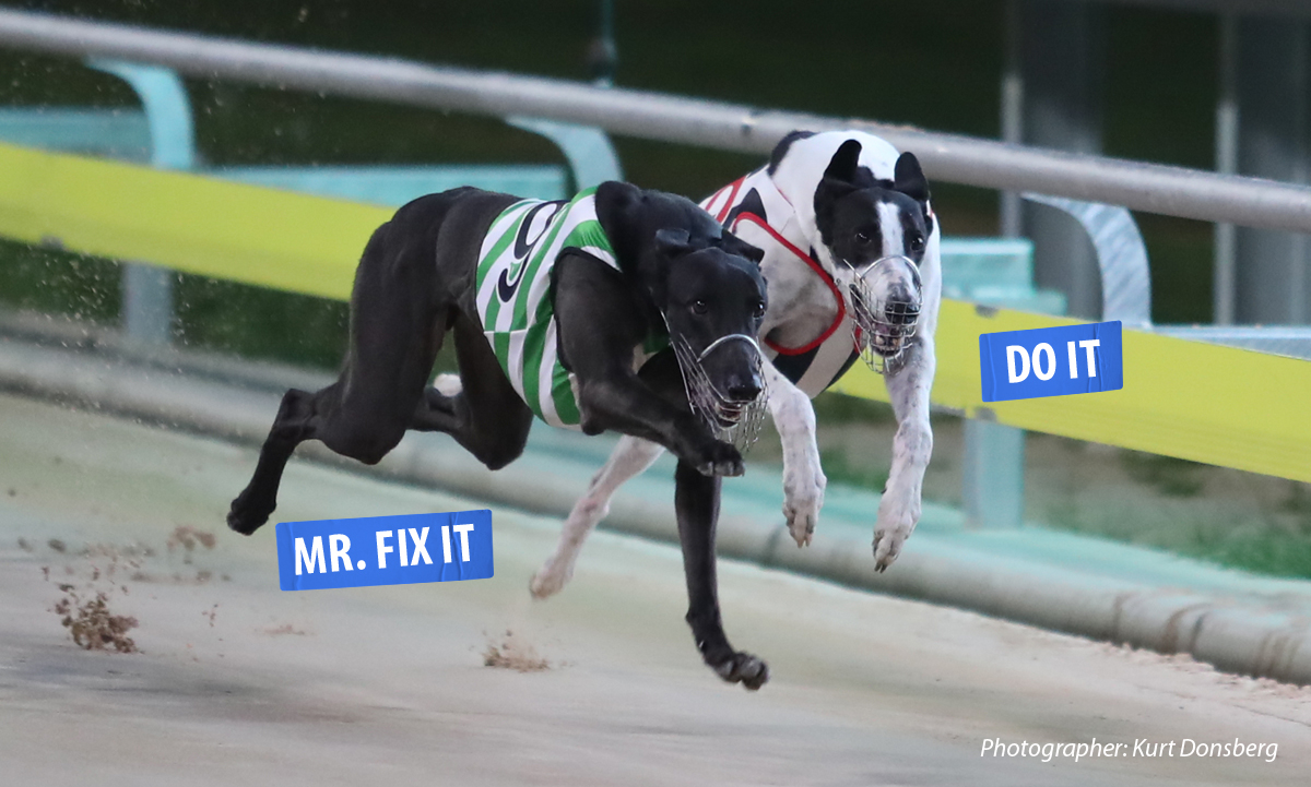 Do It gets it done in Adelaide Cup