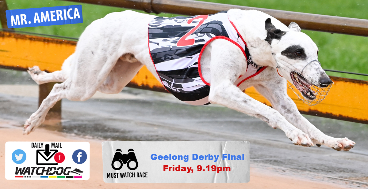 The Watchdog's Daily Mail