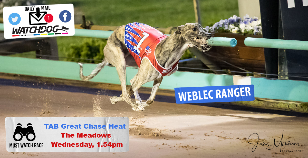 The Watchdog's Daily Mail