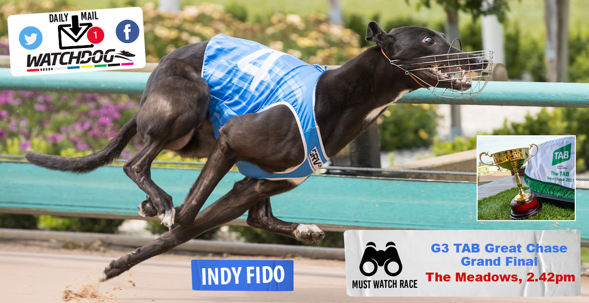 The Watchdog's Daily Mail