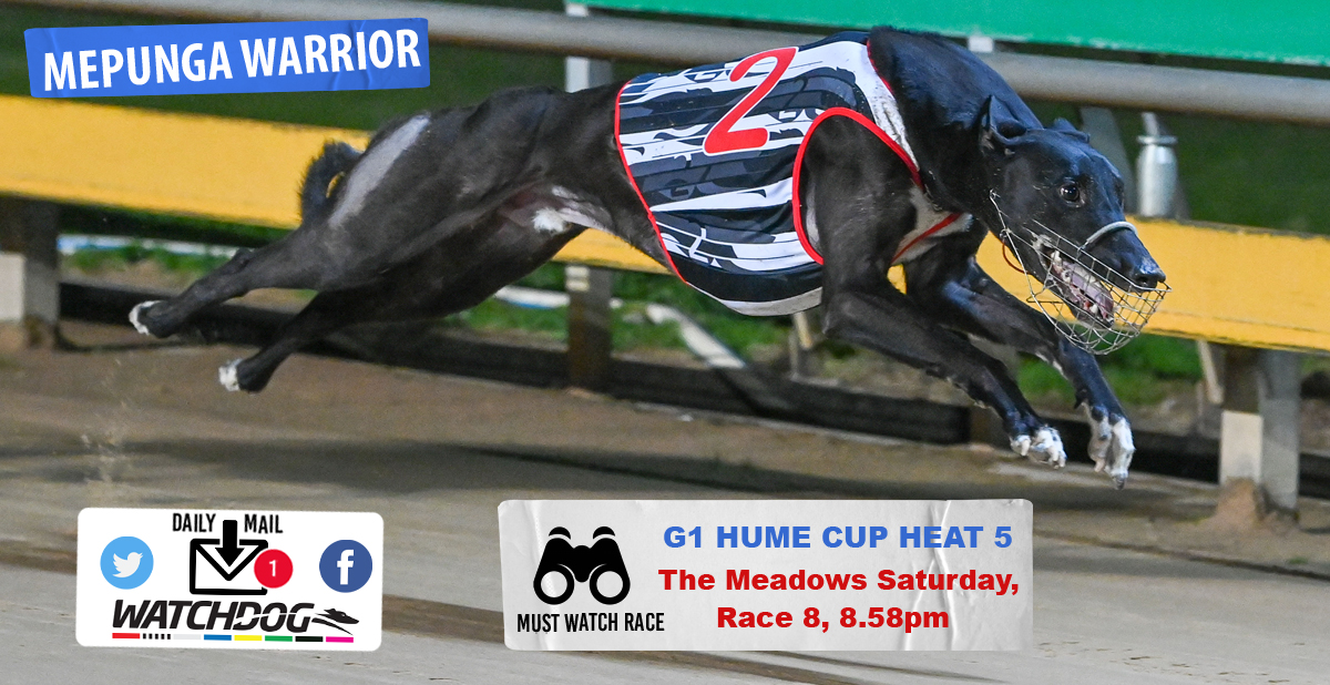 The Watchdog's Daily Mail