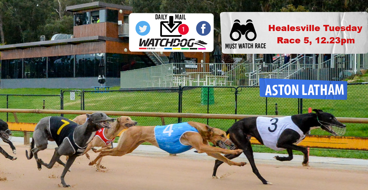 The Watchdog's Daily Mail