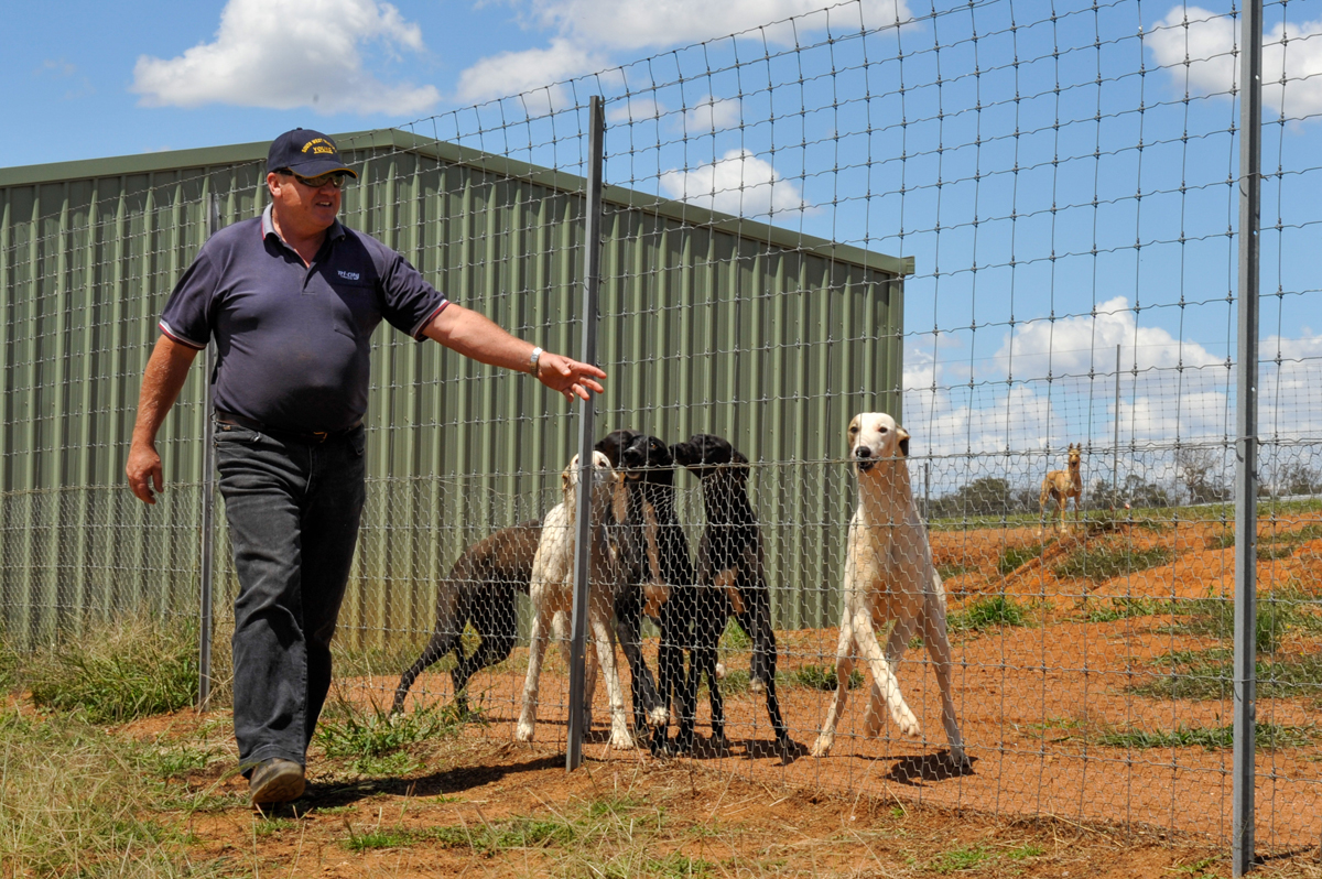Champion breeder Paul Wheeler has passed away