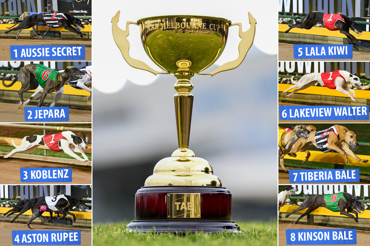 TAB Melbourne Cup Final: Armchair Guide