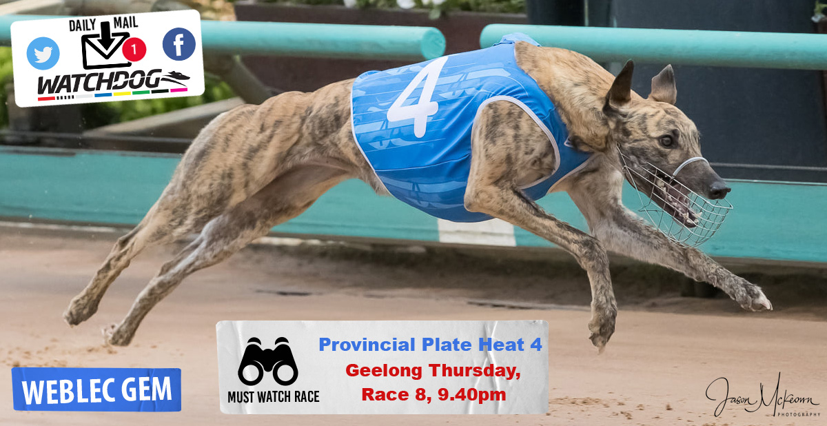 The Watchdog's Daily Mail