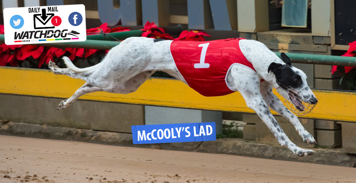 The Watchdog's Daily Mail