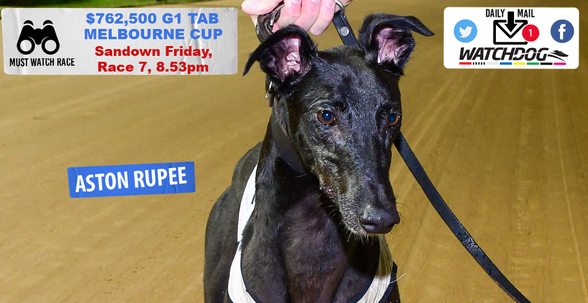 The Watchdog's Daily Mail