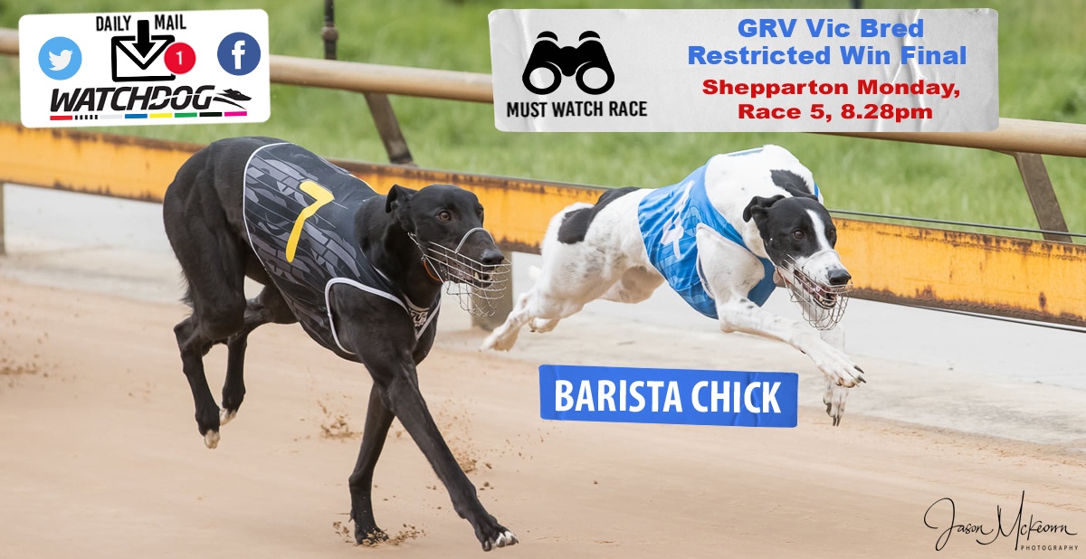 The Watchdog's Daily Mail