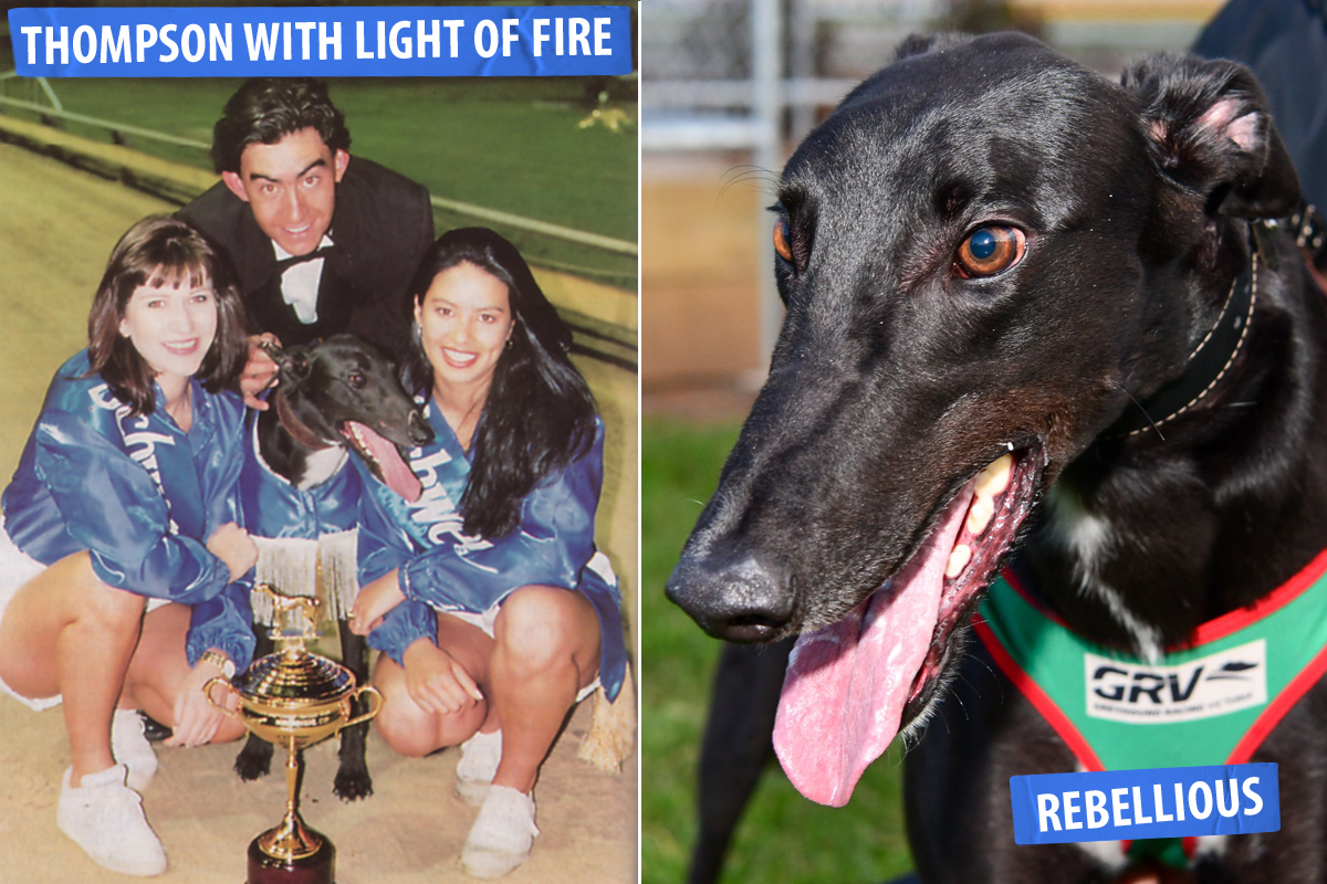 Thompson’s TAB Melbourne Cup ‘fire’