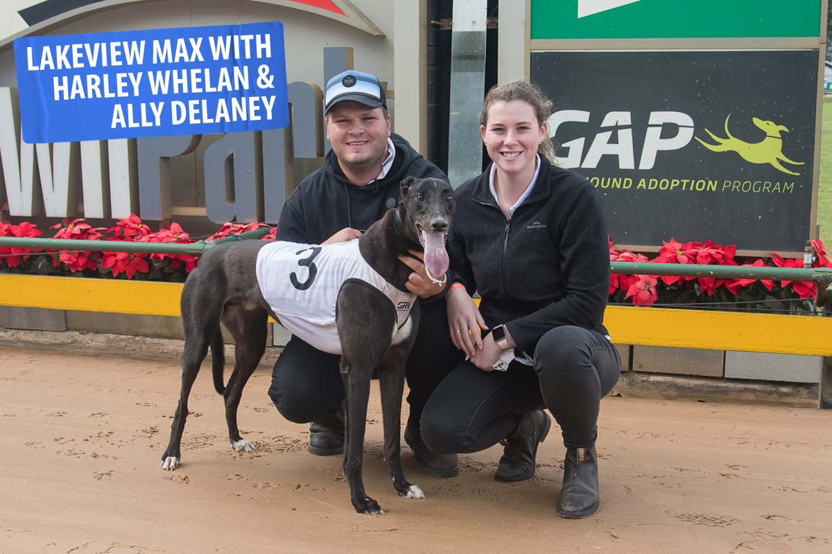 Lakeview Max set for Sale return