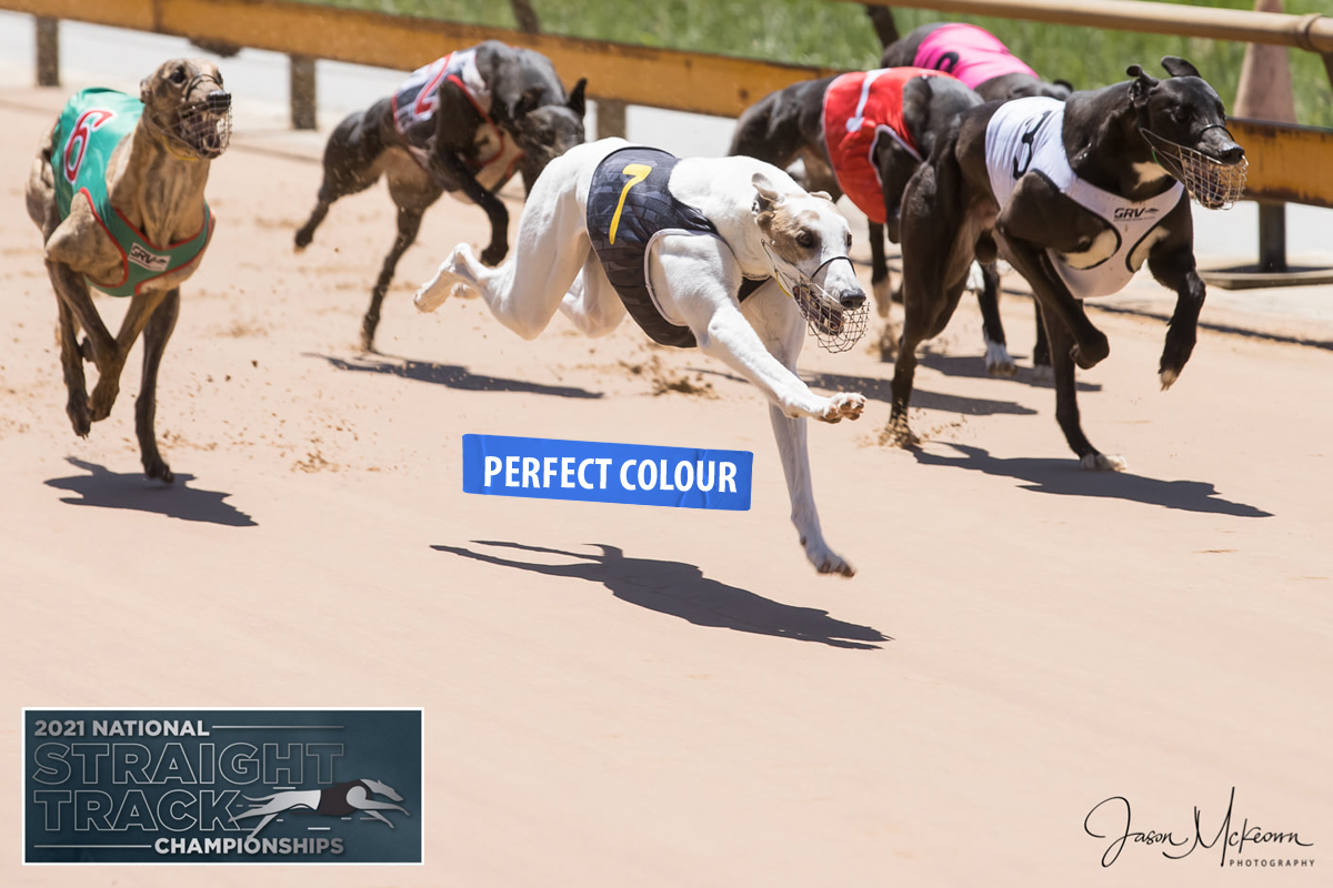 Picture ‘Perfect’ Straight Track tilt