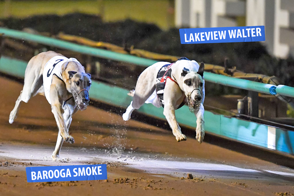 Bullet-like finish secures Silver once more