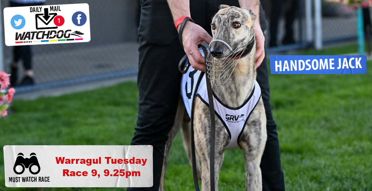 The Watchdog's Daily Mail