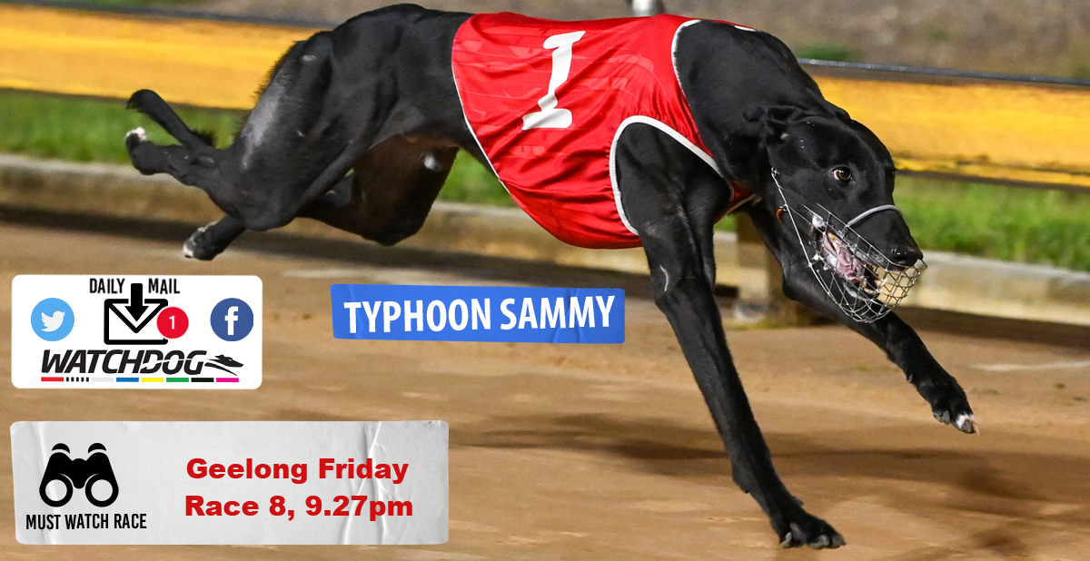 The Watchdog's Daily Mail