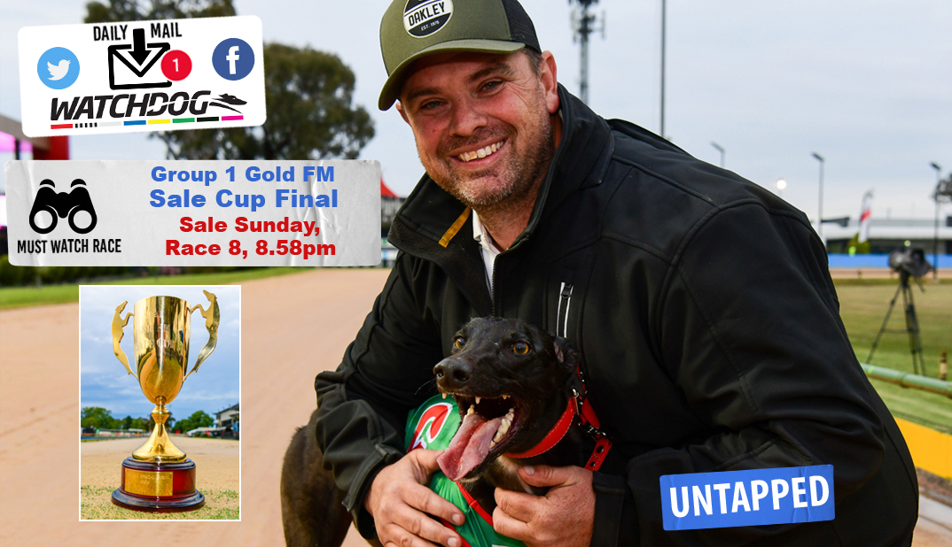 The Watchdog's Daily Mail