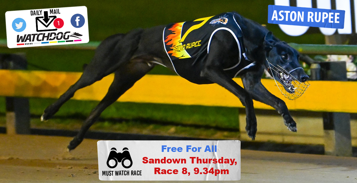 The Watchdog's Daily Mail