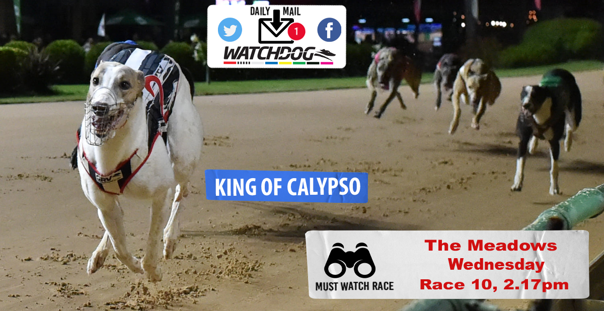 The Watchdog's Daily Mail