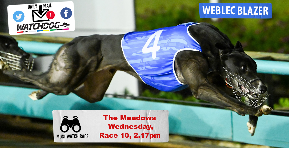 The Watchdog's Daily Mail