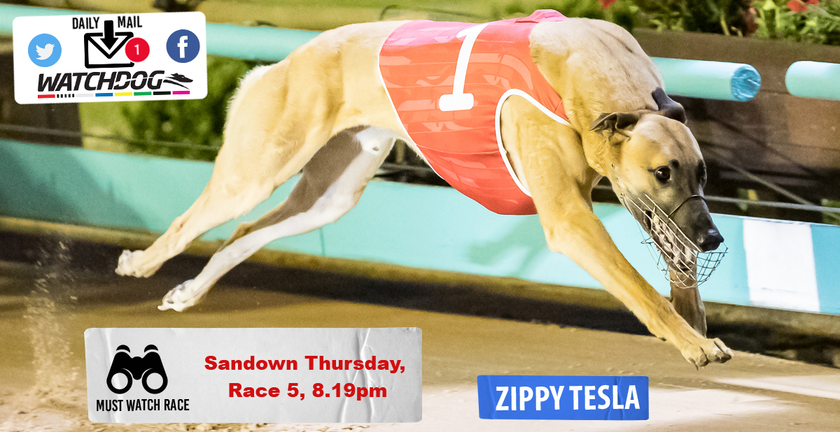 The Watchdog's Daily Mail