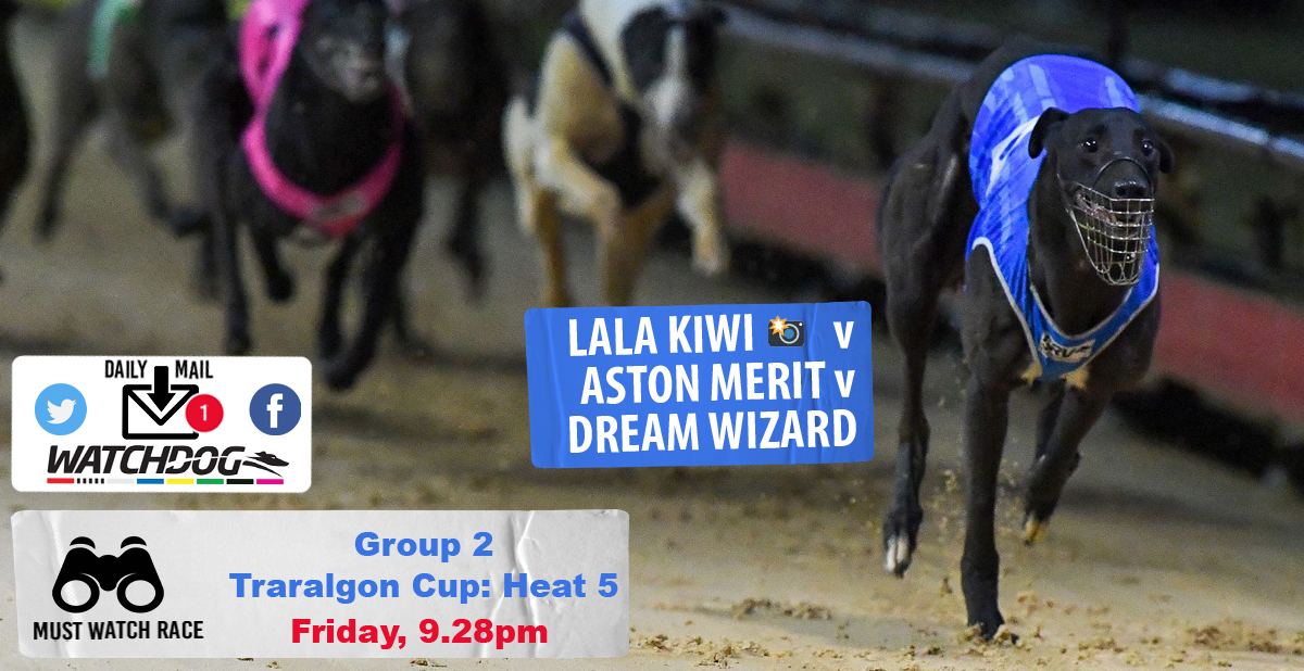 The Watchdog's Daily Mail