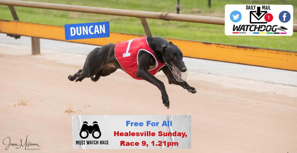 The Watchdog's Daily Mail