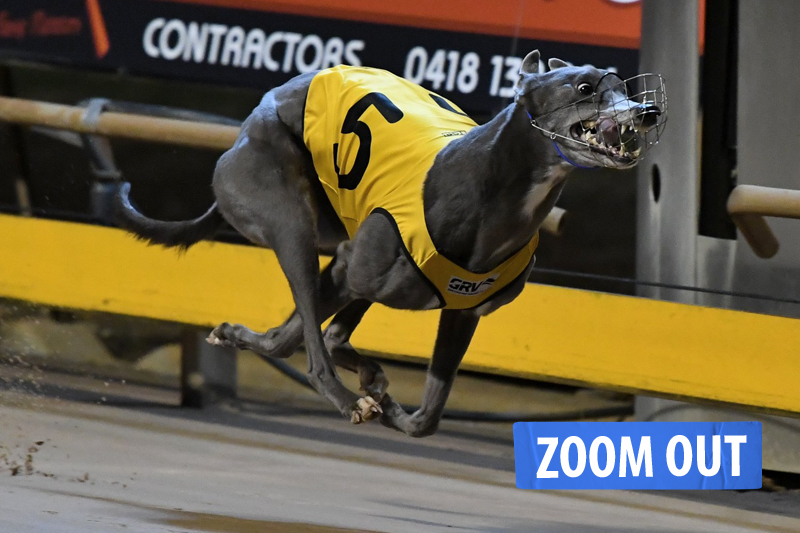 'Zooming in' on Zoom Out