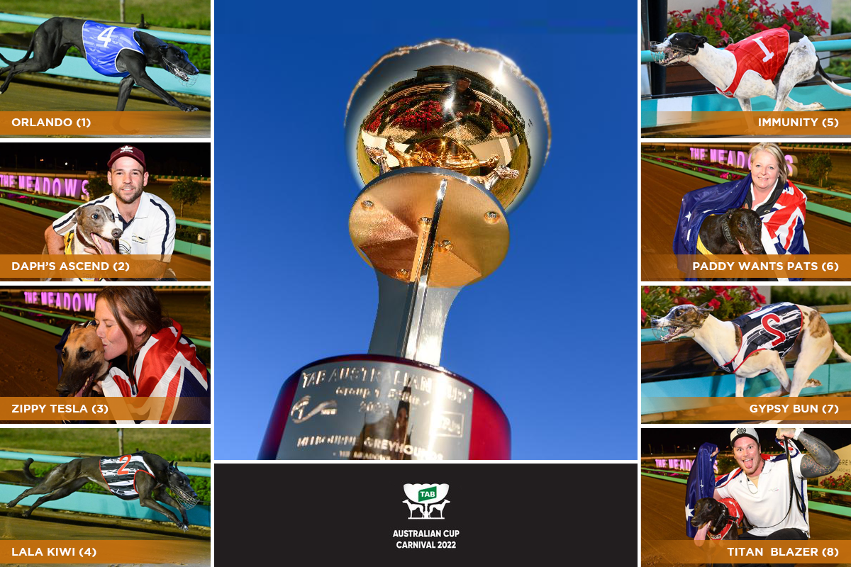 TAB Australian Cup Final: Armchair Guide