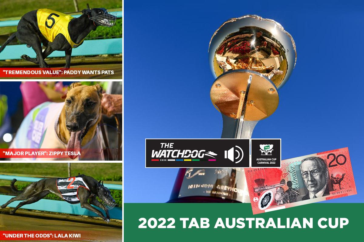 How to spend $20 on the TAB Australian Cup Final