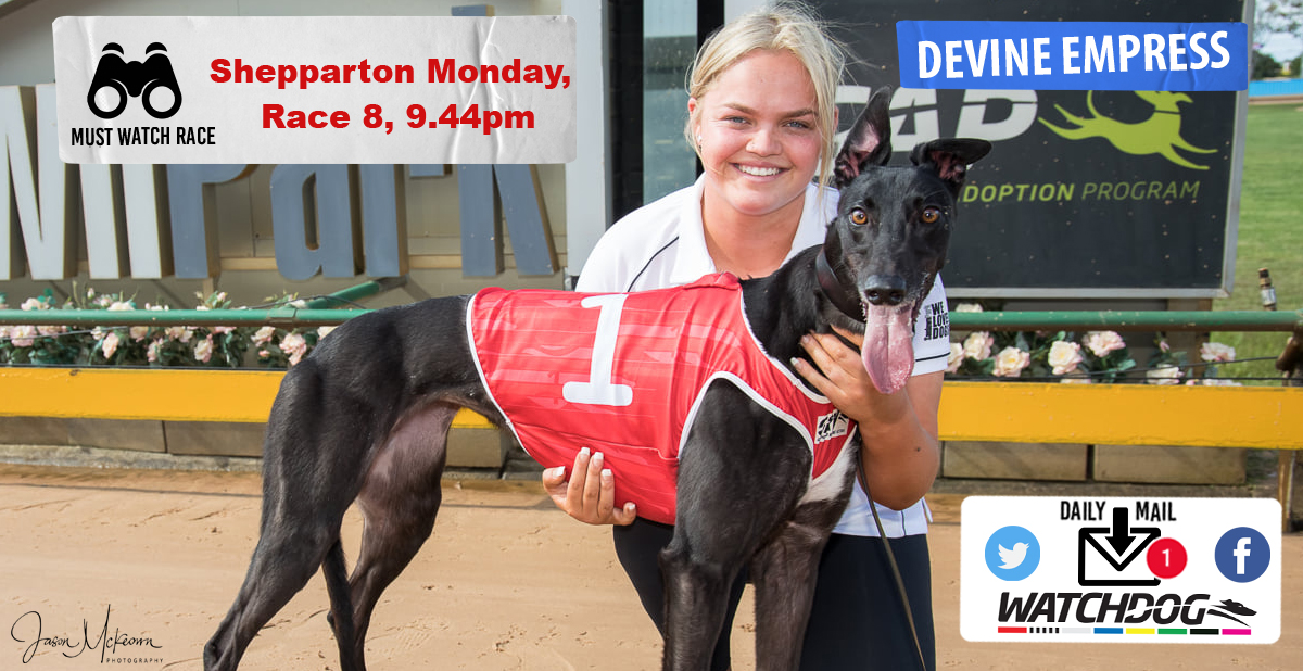 The Watchdog's Daily Mail