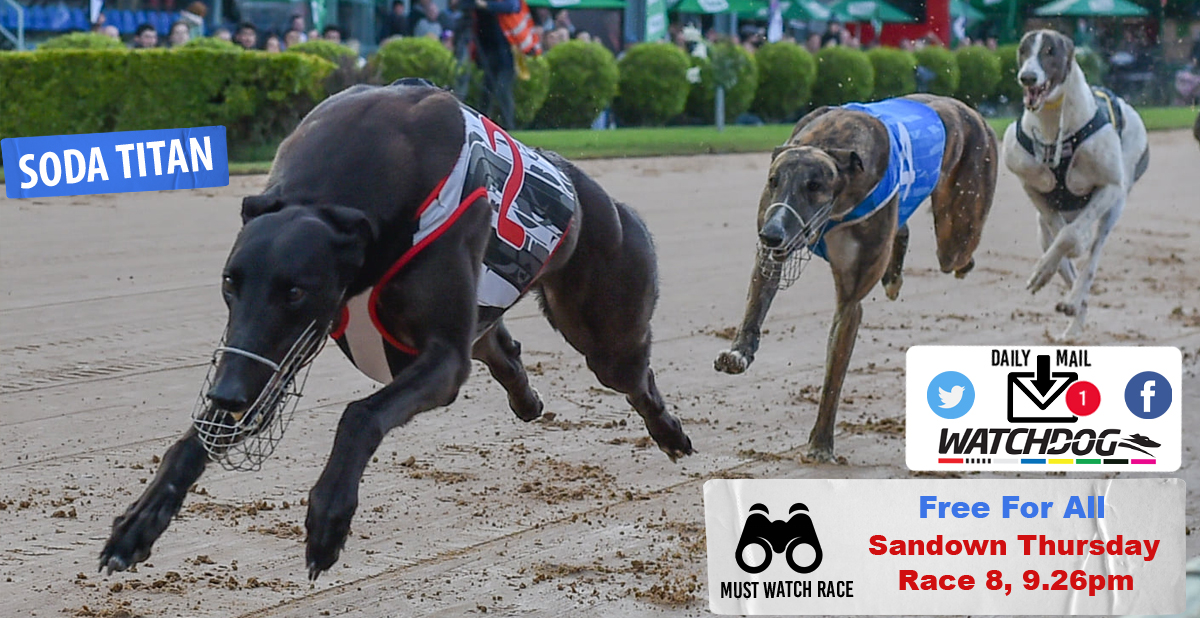 The Watchdog's Daily Mail