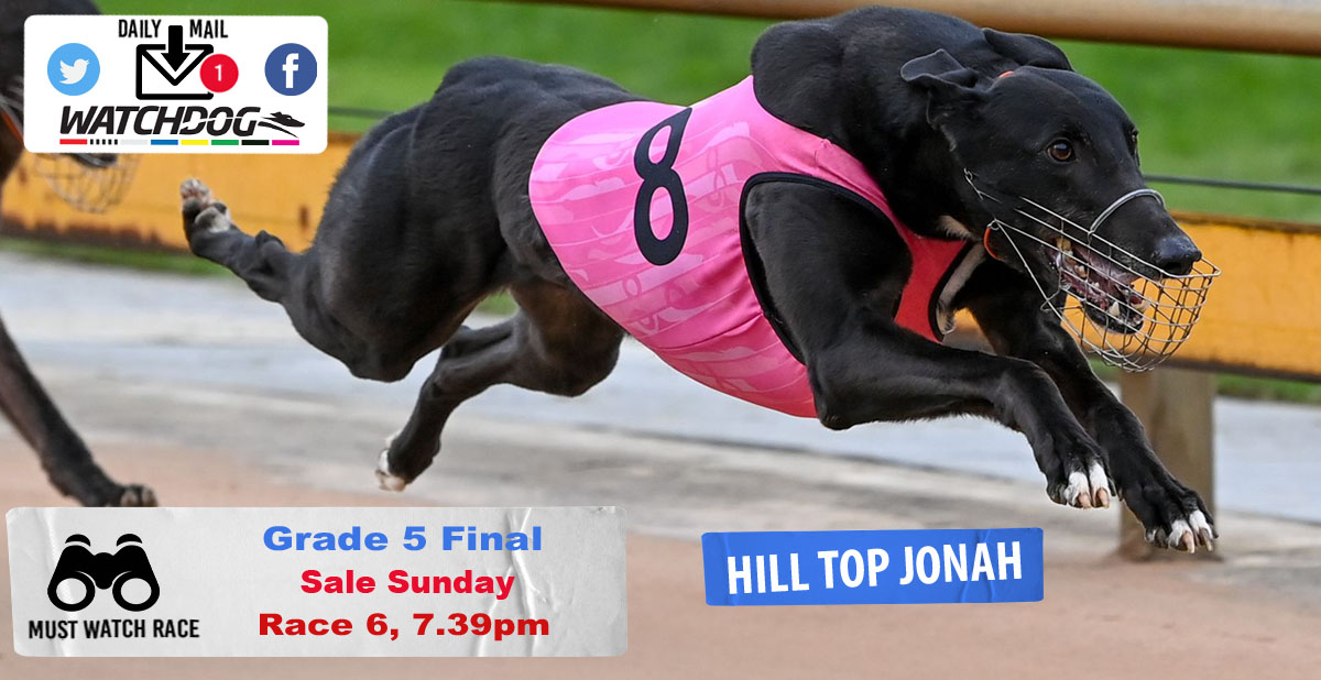 The Watchdog's Daily Mail