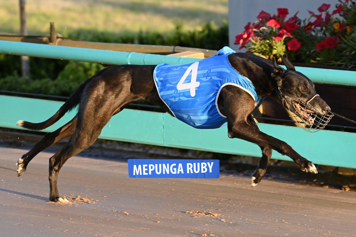 Ruby’s a super staying ‘gem’