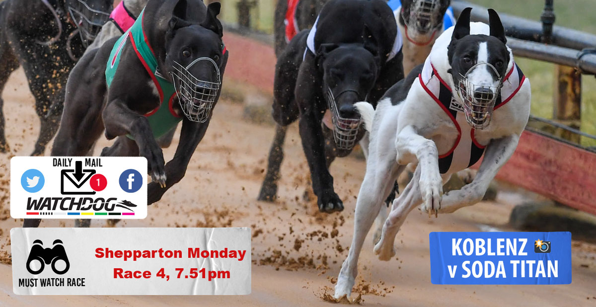 The Watchdog's Daily Mail