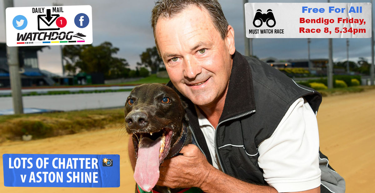 The Watchdog's Daily Mail