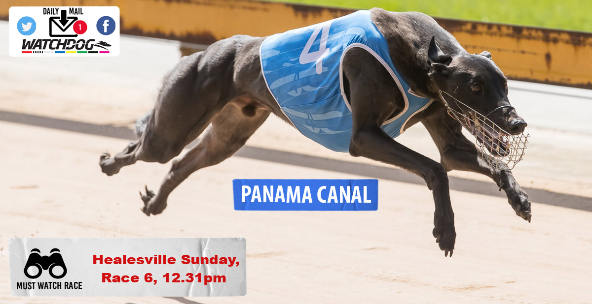 The Watchdog's Daily Mail