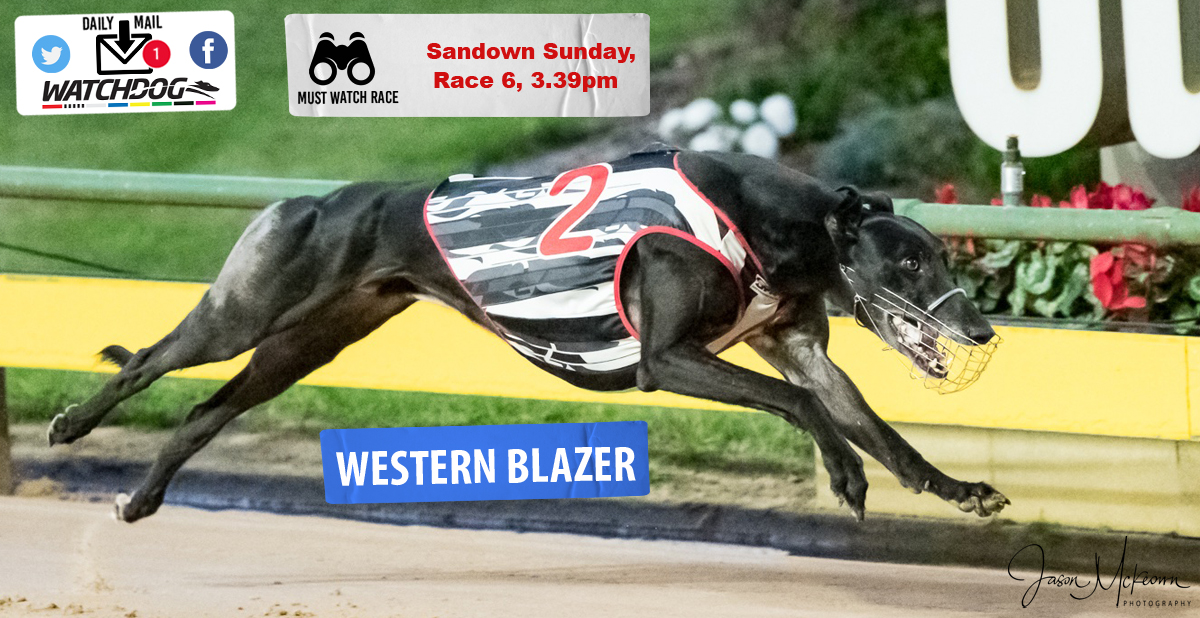 The Watchdog's Daily Mail