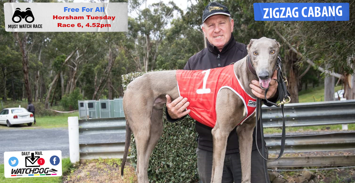 The Watchdog's Daily Mail